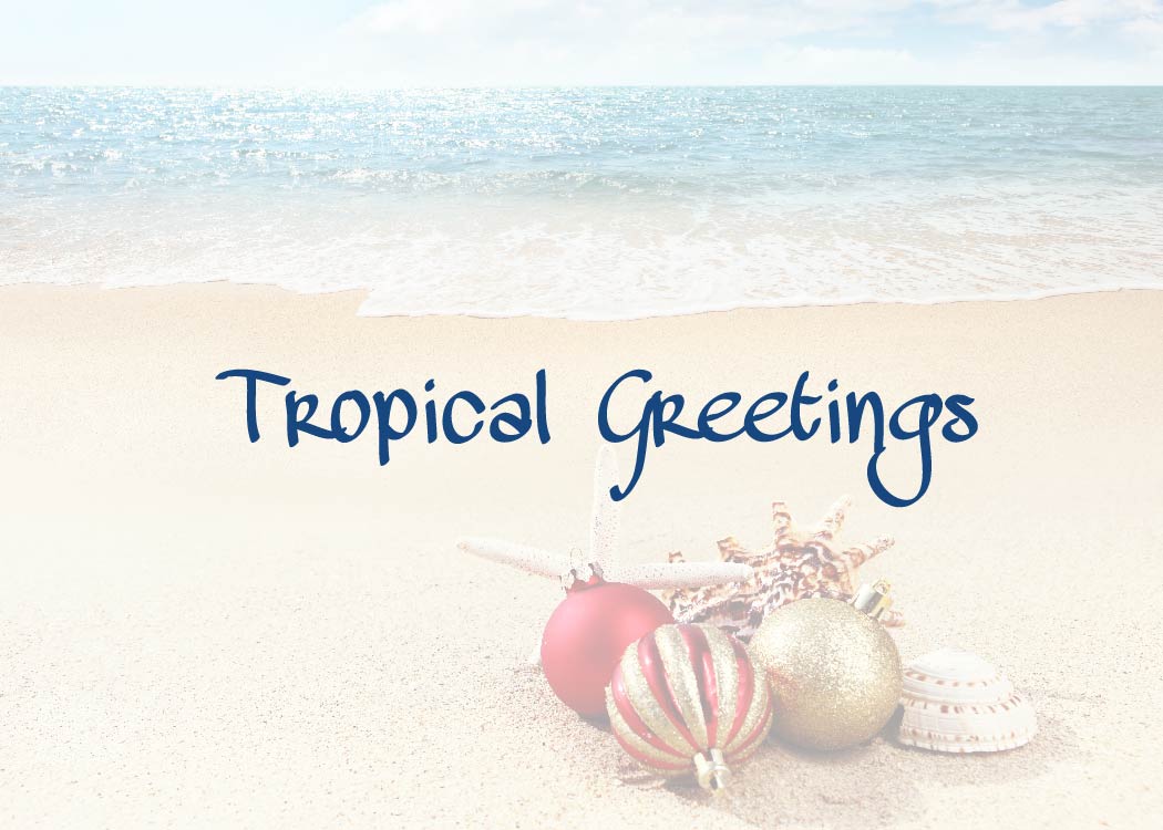 Holiday CD Greeting Cards